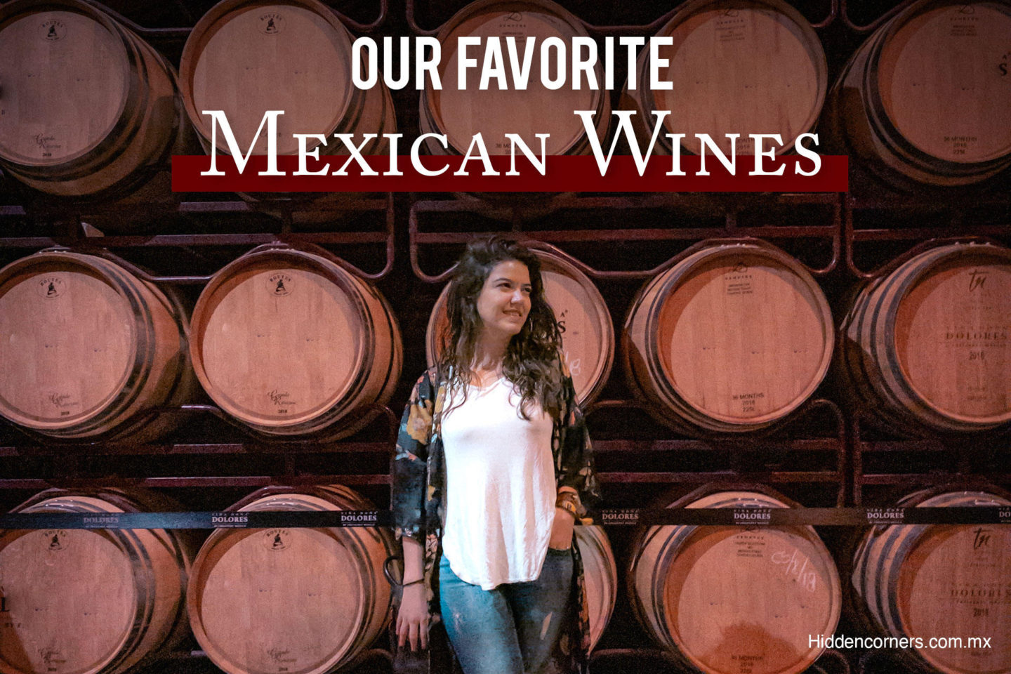 Our current favorite Mexican wines | Hidden Corners